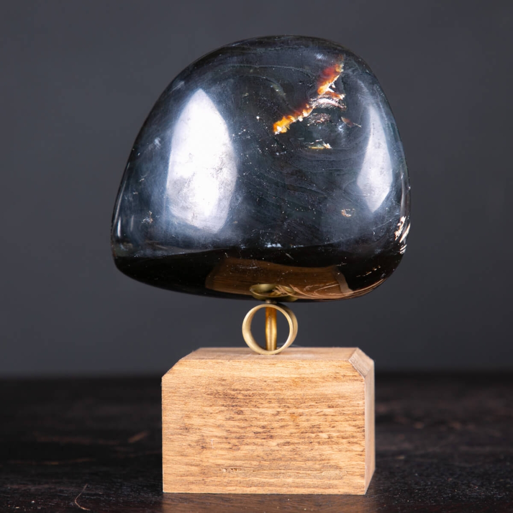 Ambra di Sumatra – Materia Organica Fossile