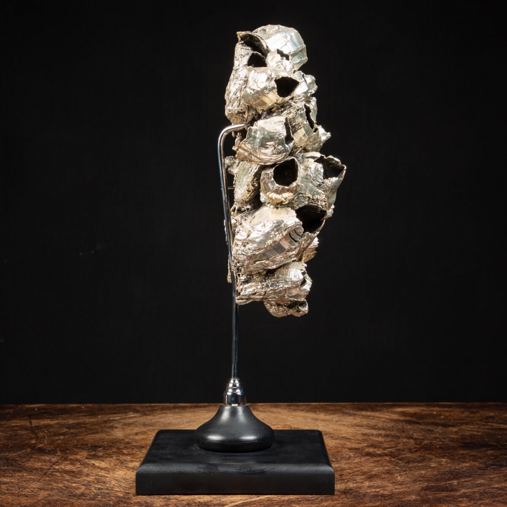 Balani - Oceano Pacifico