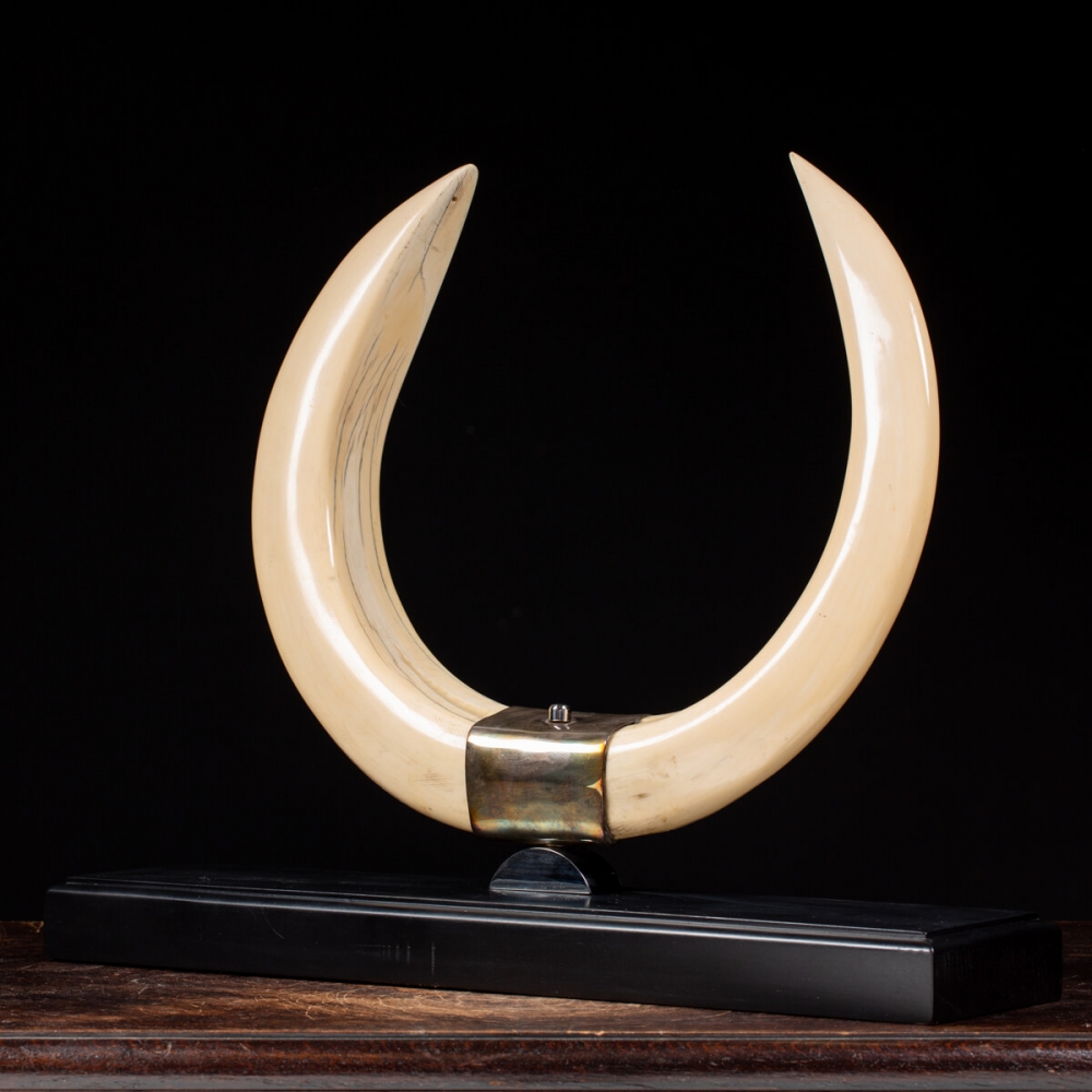 Trofeo Zanne Ippopotamo