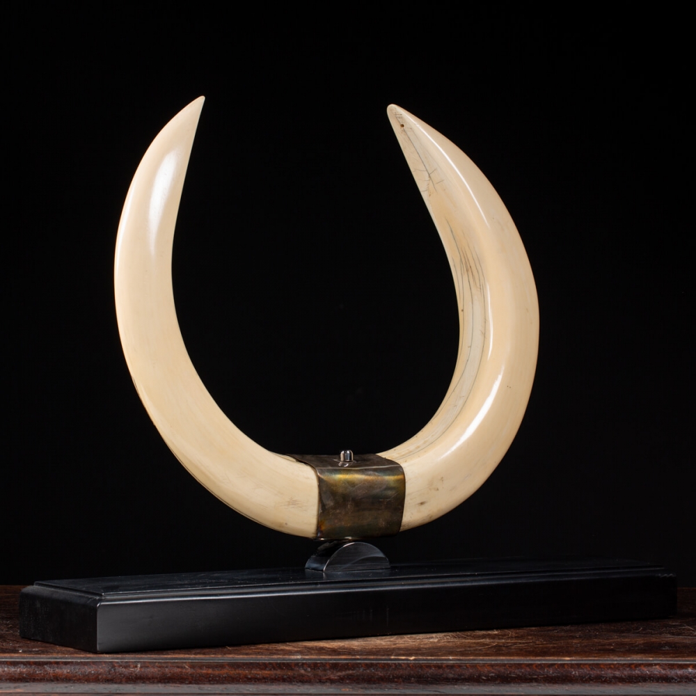 Trofeo Zanne Ippopotamo