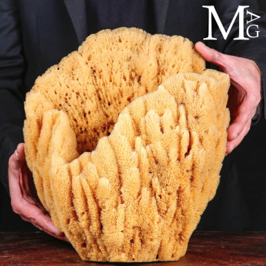 Mineral Art Gallery - Minerali e fossili da collezione