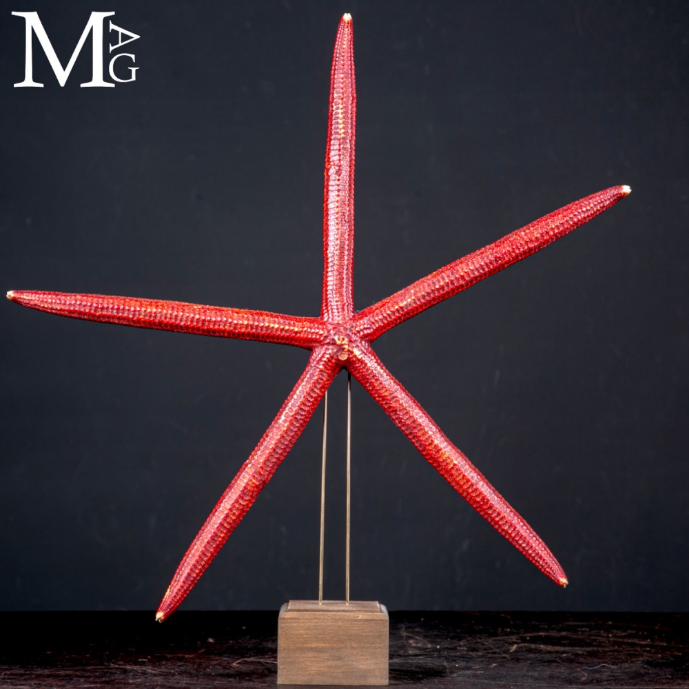 Large Red Starfish