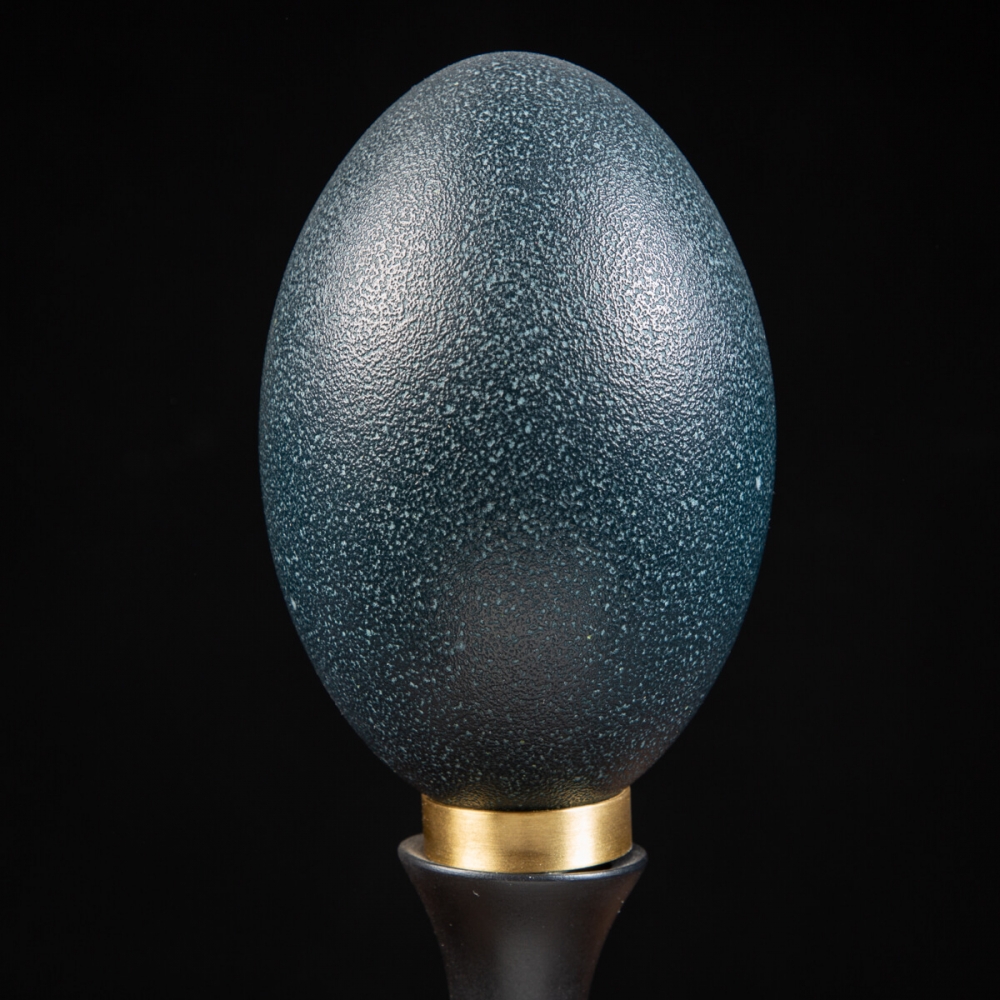 Uovo Emu - Australia