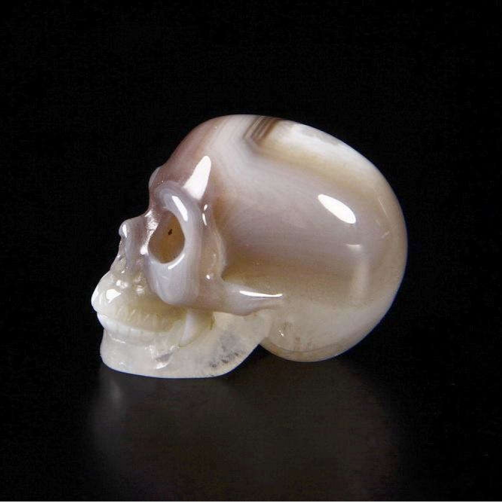 Teschio Agata - Brasile