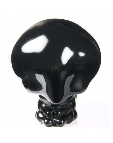 Obsidian-Alien-Schädel – Vereinigte Staaten