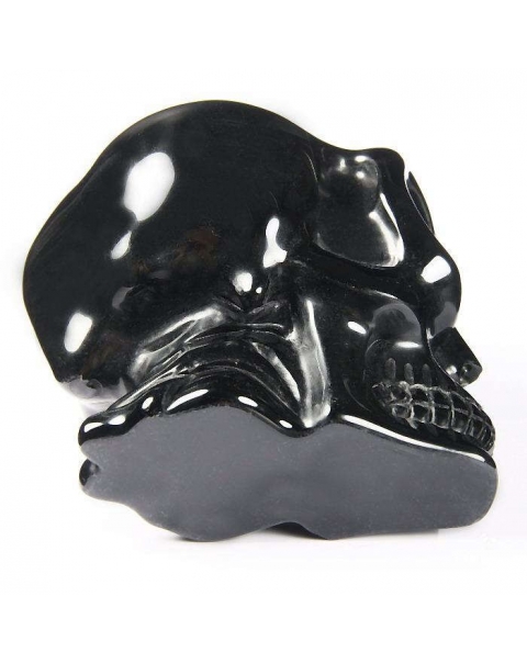 Obsidian-Alien-Schädel – Vereinigte Staaten