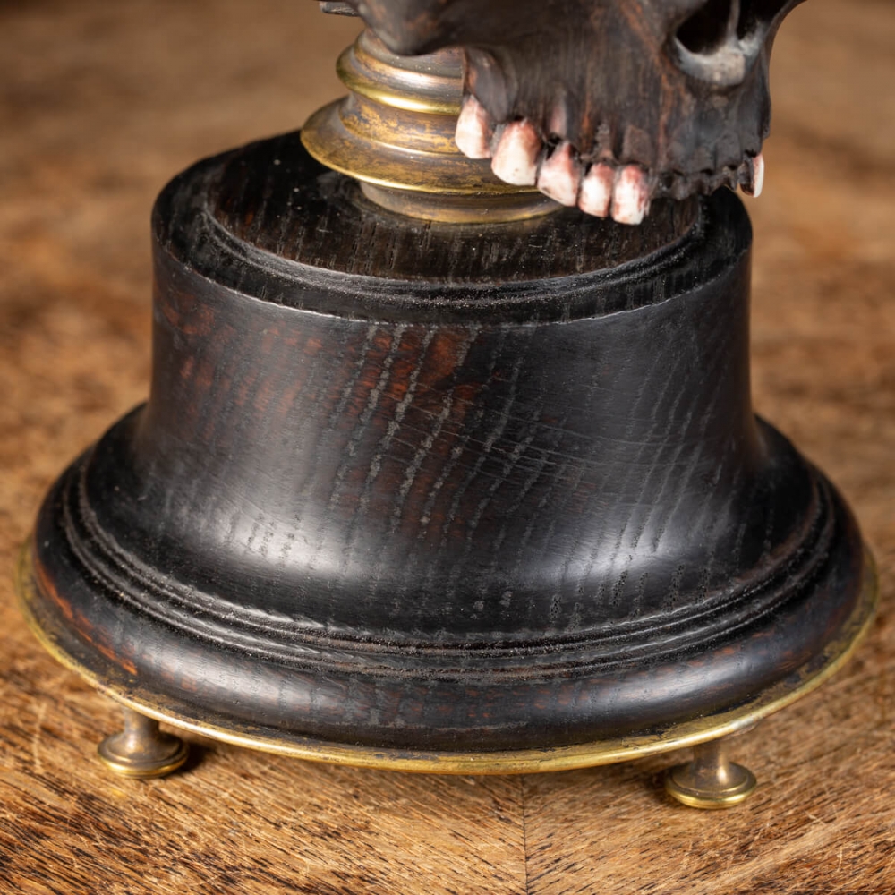 Scultura Teschio Memento Mori