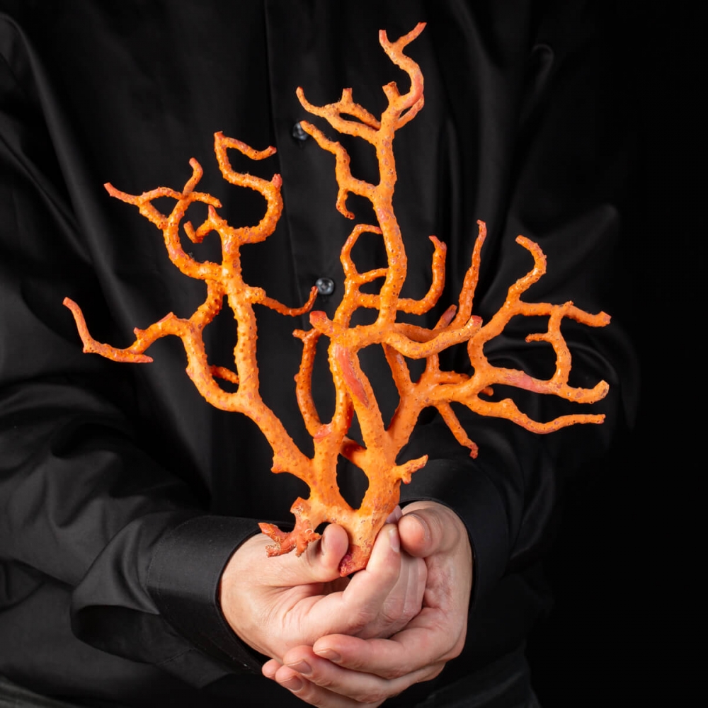 Corallo Rosso - Alghero, Sardegna