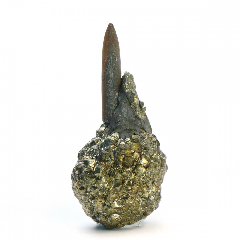 Belemnite su Pyrite - Russia