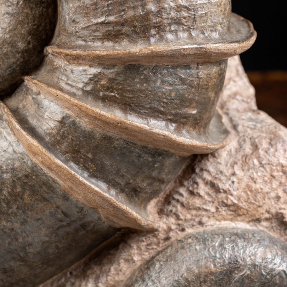 Lytoceras Fimbriatum - Francia