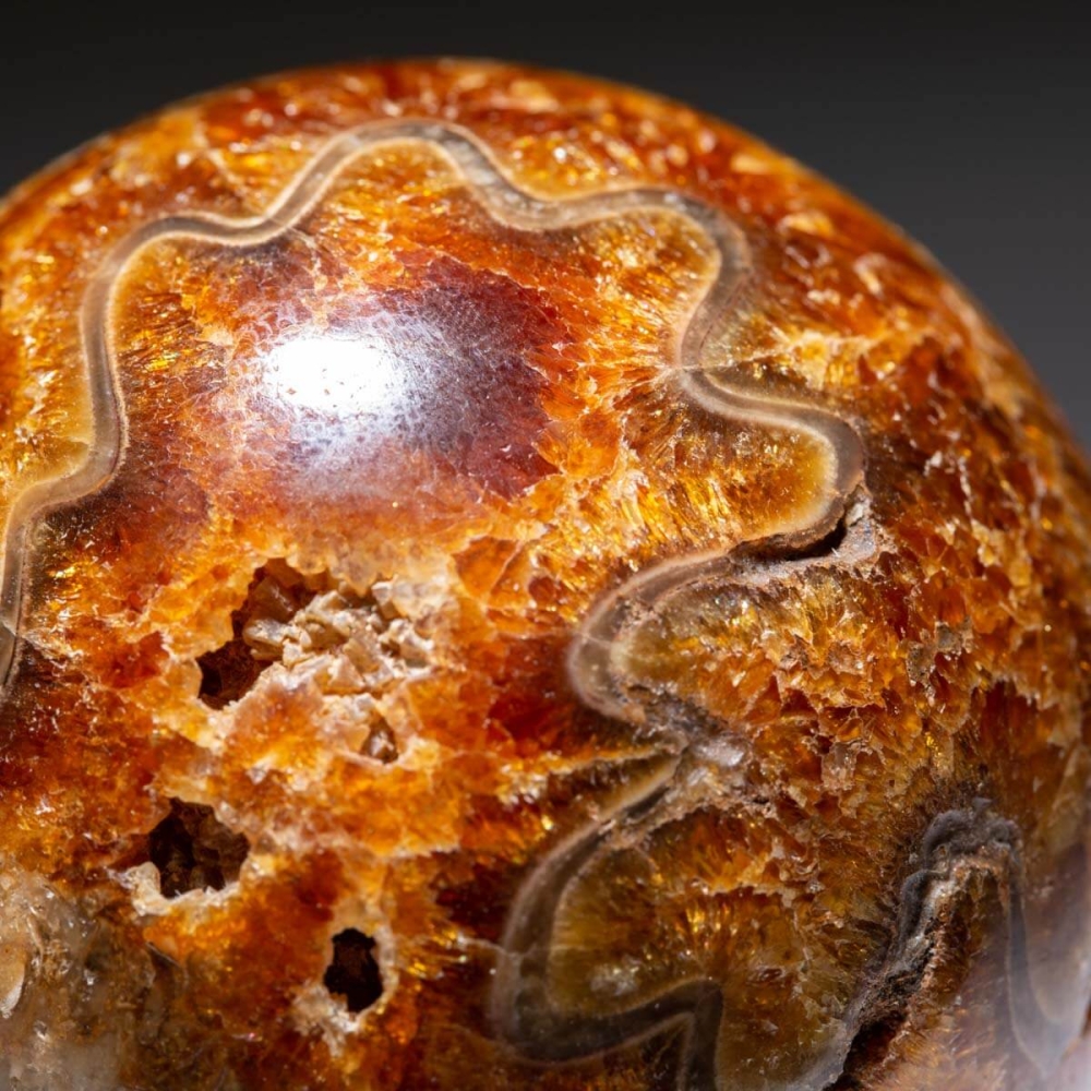 Sfera Fossile di Ammonite Cleoniceras.