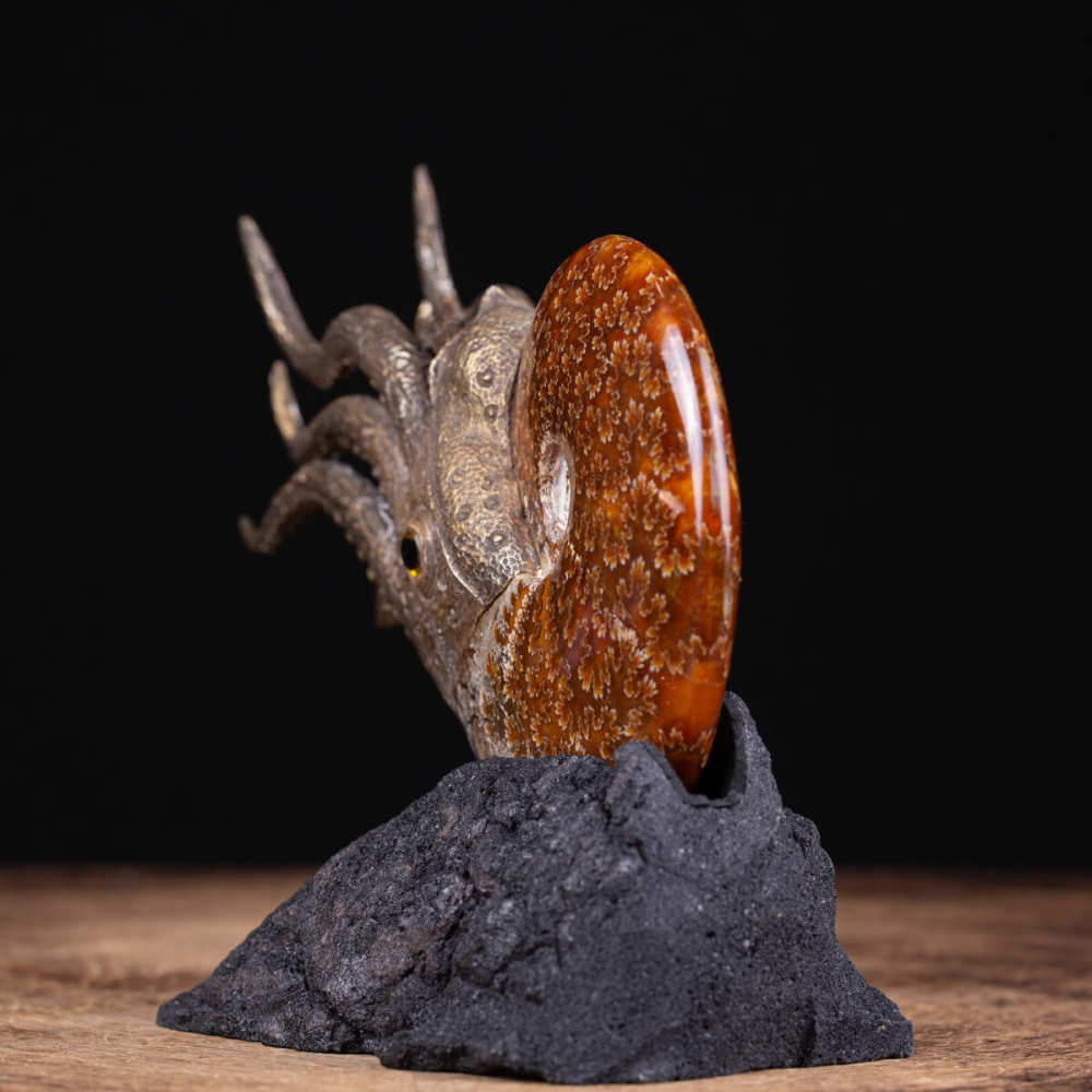 Scultura in Ammonite con dettagli in ottone