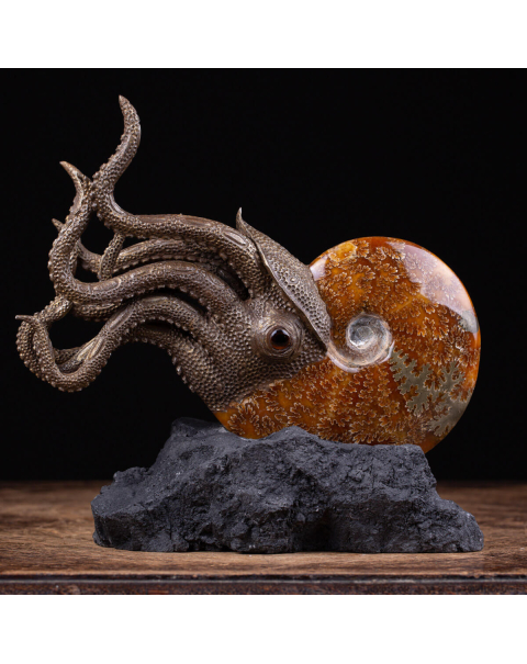 Sculpture d'ammonite réaliste