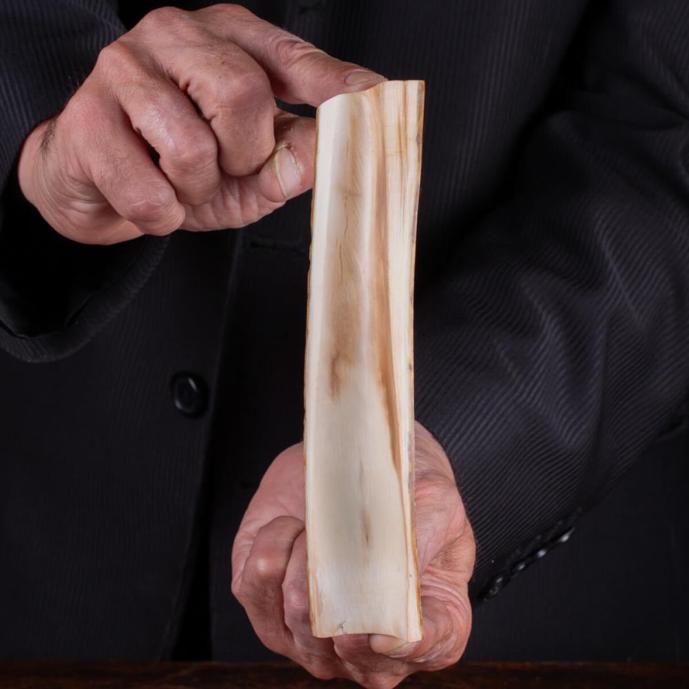 Ancient Treasure: The Ivory Tusk of the Mammoth - MMT-58