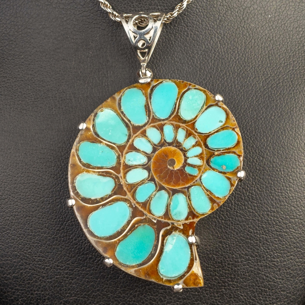 Ammonite fossile avec incrustation de turquoise - JFW-12