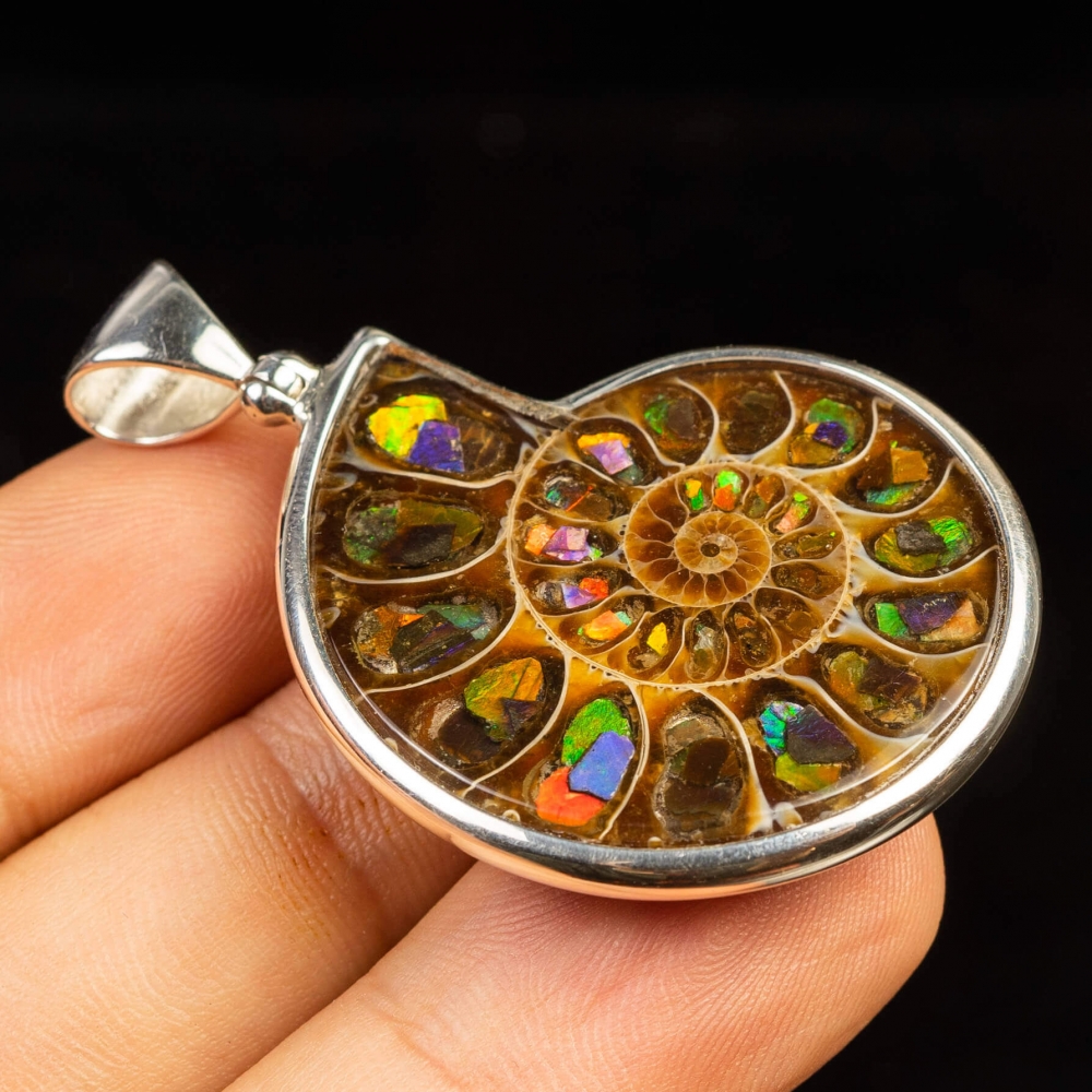 Fossiler Ammonit mit Ammolit-Inlay – JFW-15