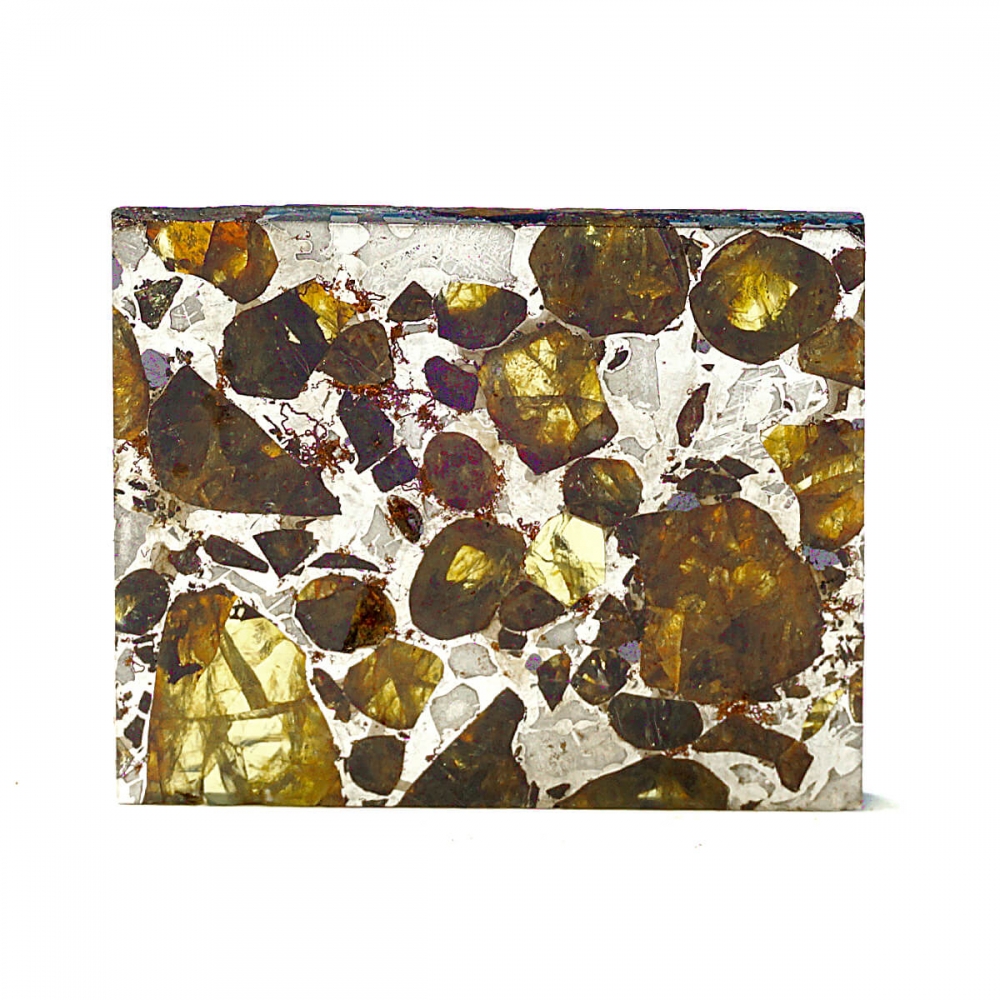 Pallasite Brahin Bielorussia