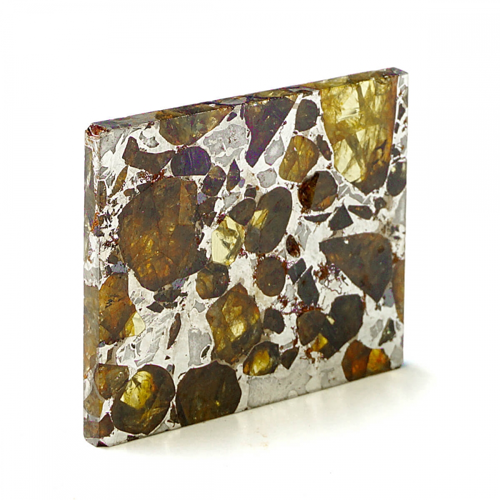 Pallasite Brahin Bielorussia