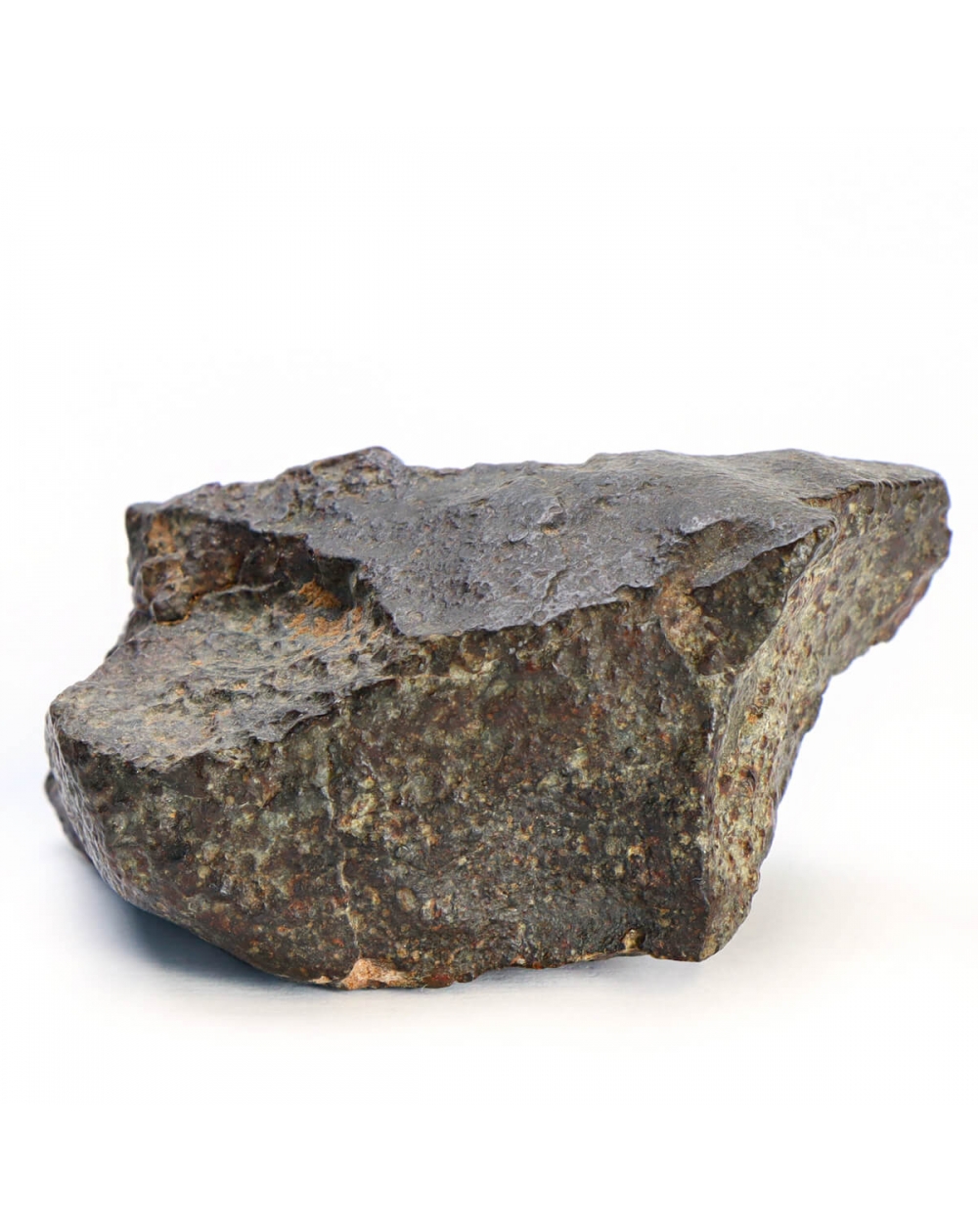 Gewöhnlicher Chondrit - Sahara