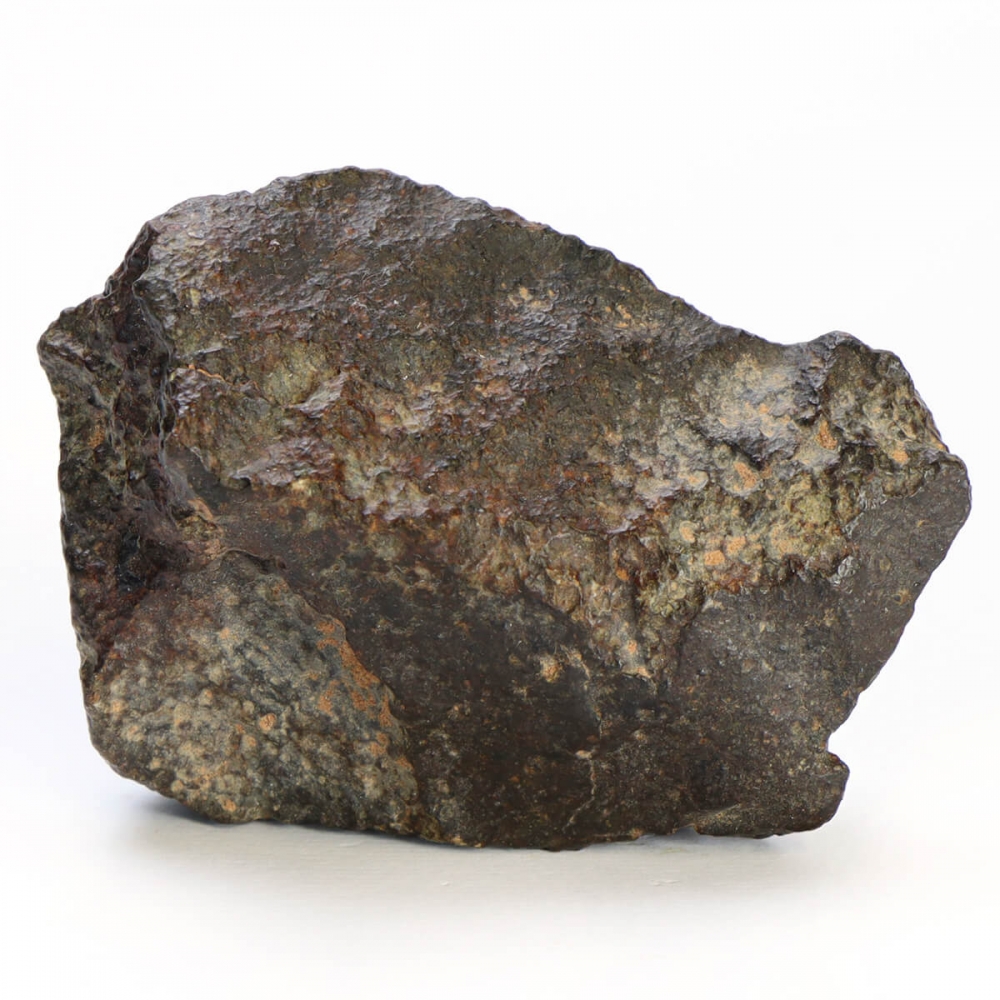 Gewöhnlicher Chondrit - Sahara