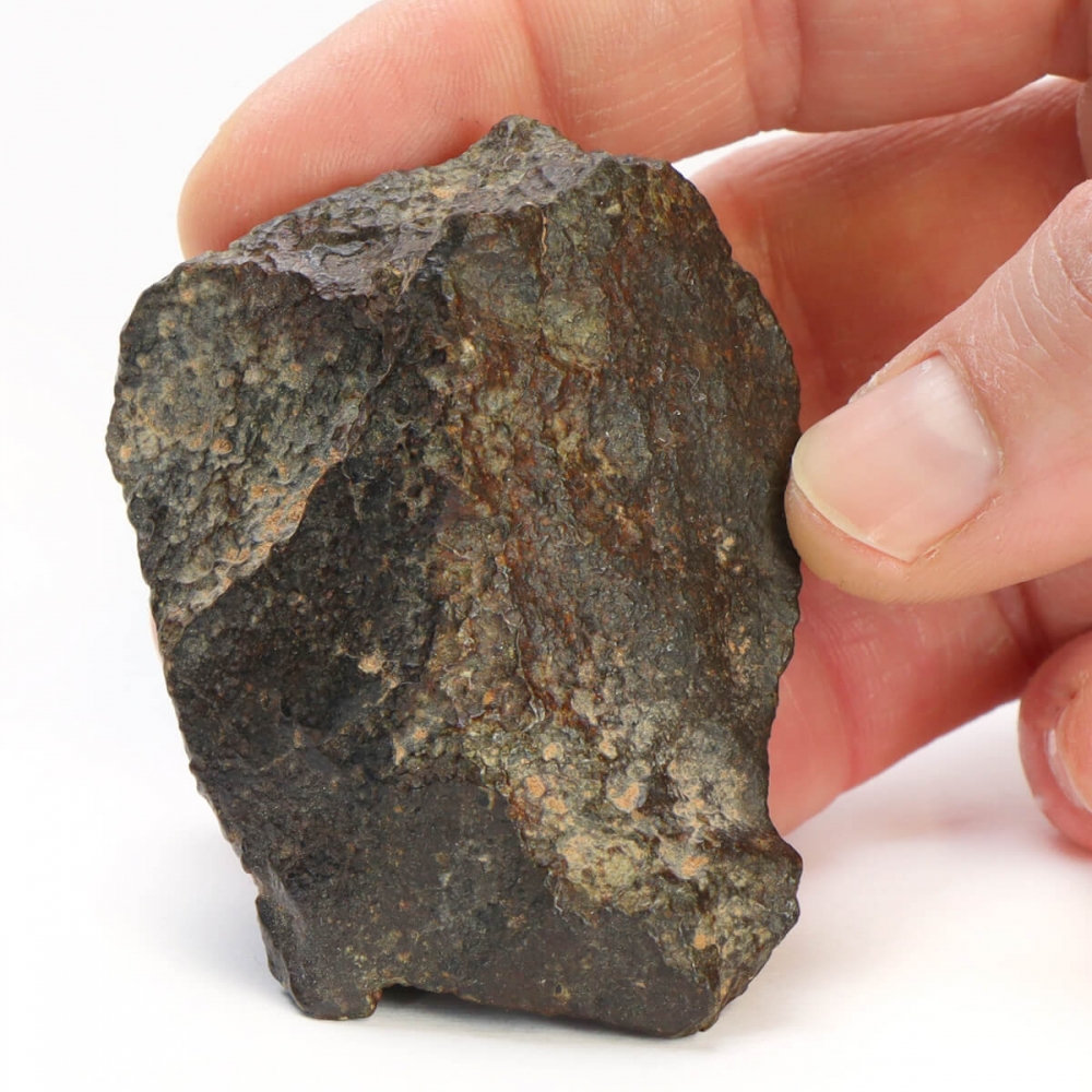 Gewöhnlicher Chondrit - Sahara