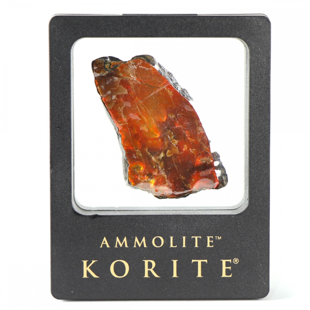 Ammolite