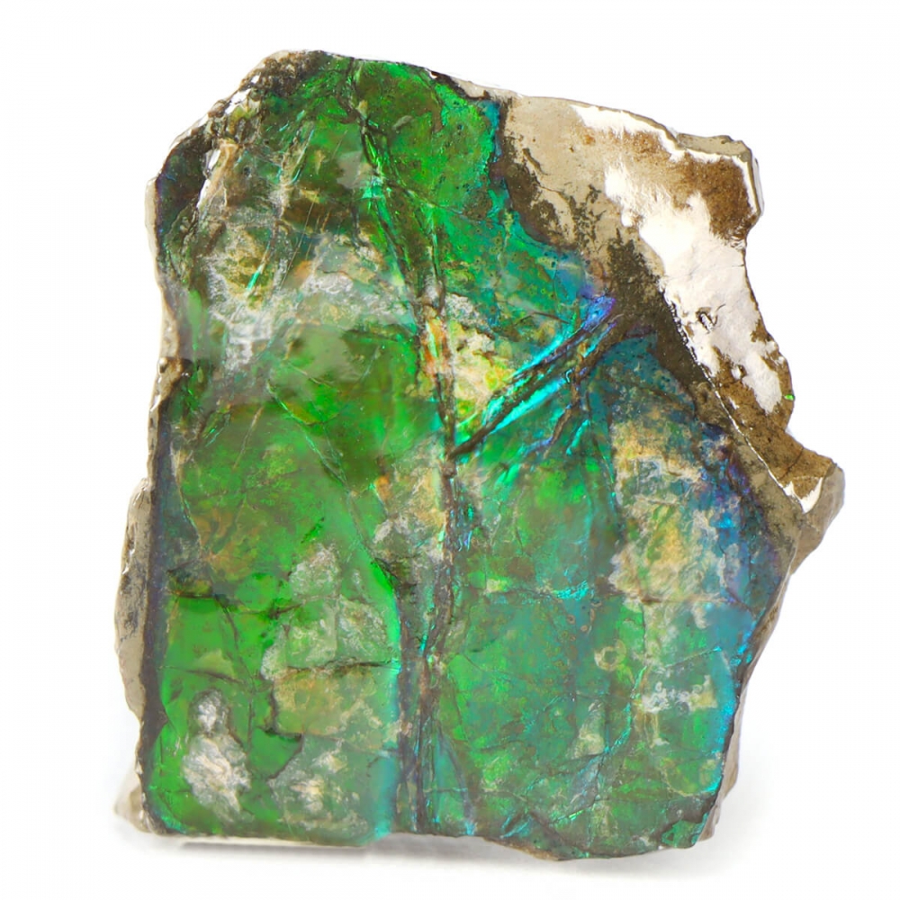 Ammolite