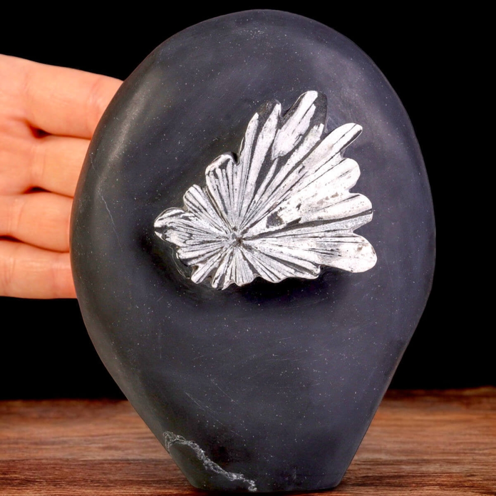 Chrysanthemum Stone - Natural Stone Flower. - CRH-02