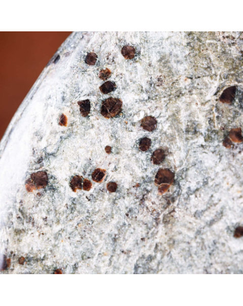 Granato Almandino In Matrice di Mica Scisto.