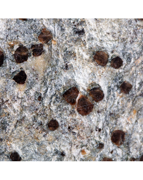 Granato Almandino In Matrice di Mica Scisto.