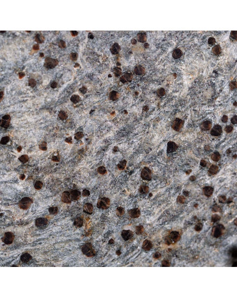 Granato Almandino In Matrice di Mica Scisto.