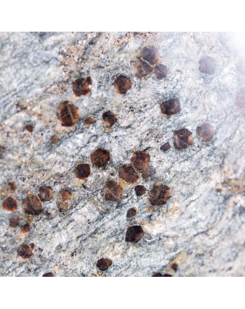 Granato Almandino In Matrice di Mica Scisto.