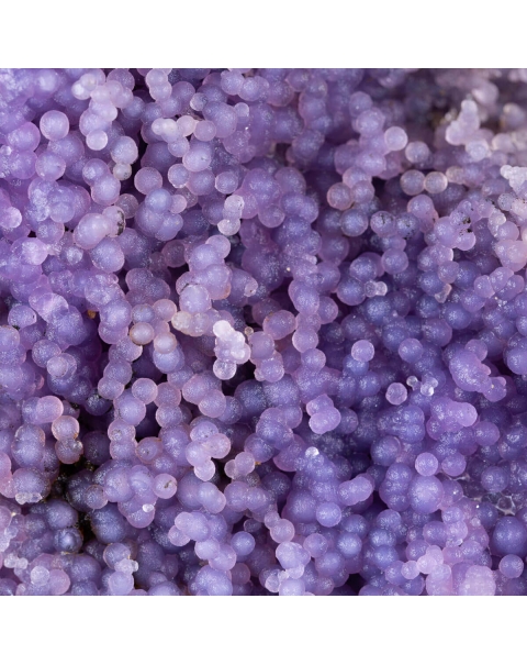 straordinaria formazione di Calcedonio Viola - BMG-09