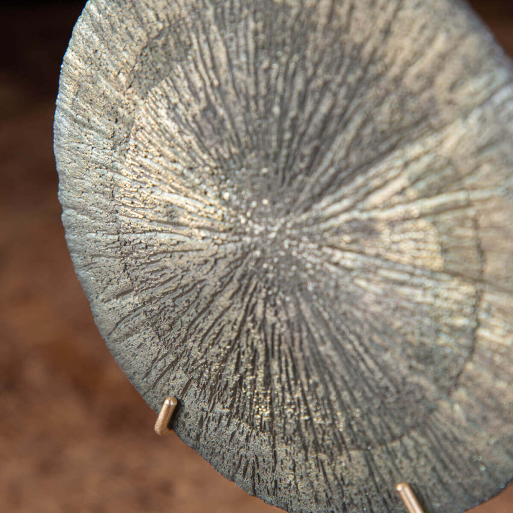 The Pyrite Sun: Mineral from Sparta, Illinois