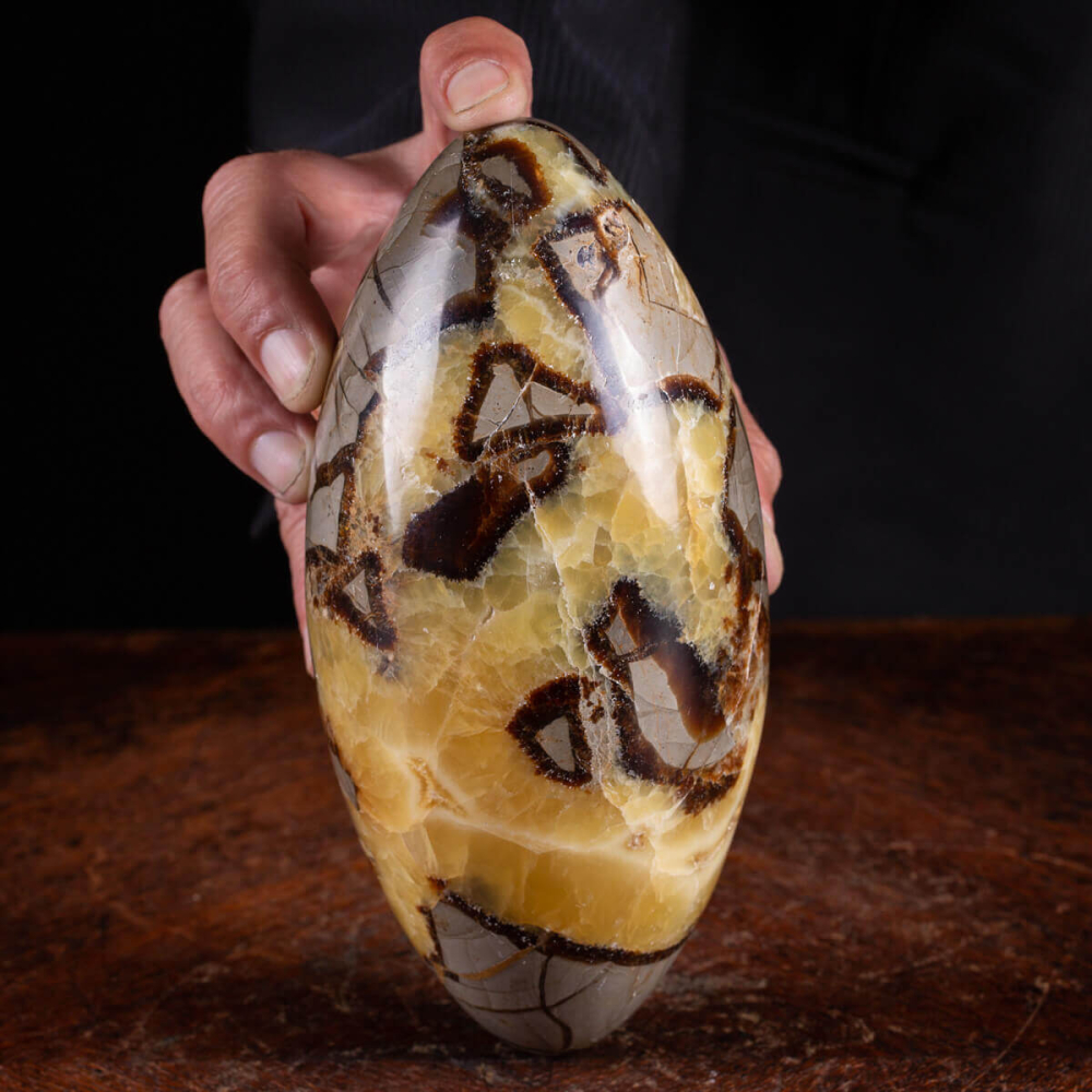 Shiva Lingam in Septarian - SSP-09