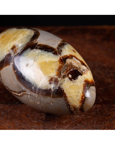 Shiva Lingam in Septarium: Aragonit und Calcit - SSP-10