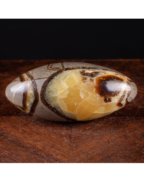 Shiva Lingam in Septarium: Aragonit und Calcit - SSP-10