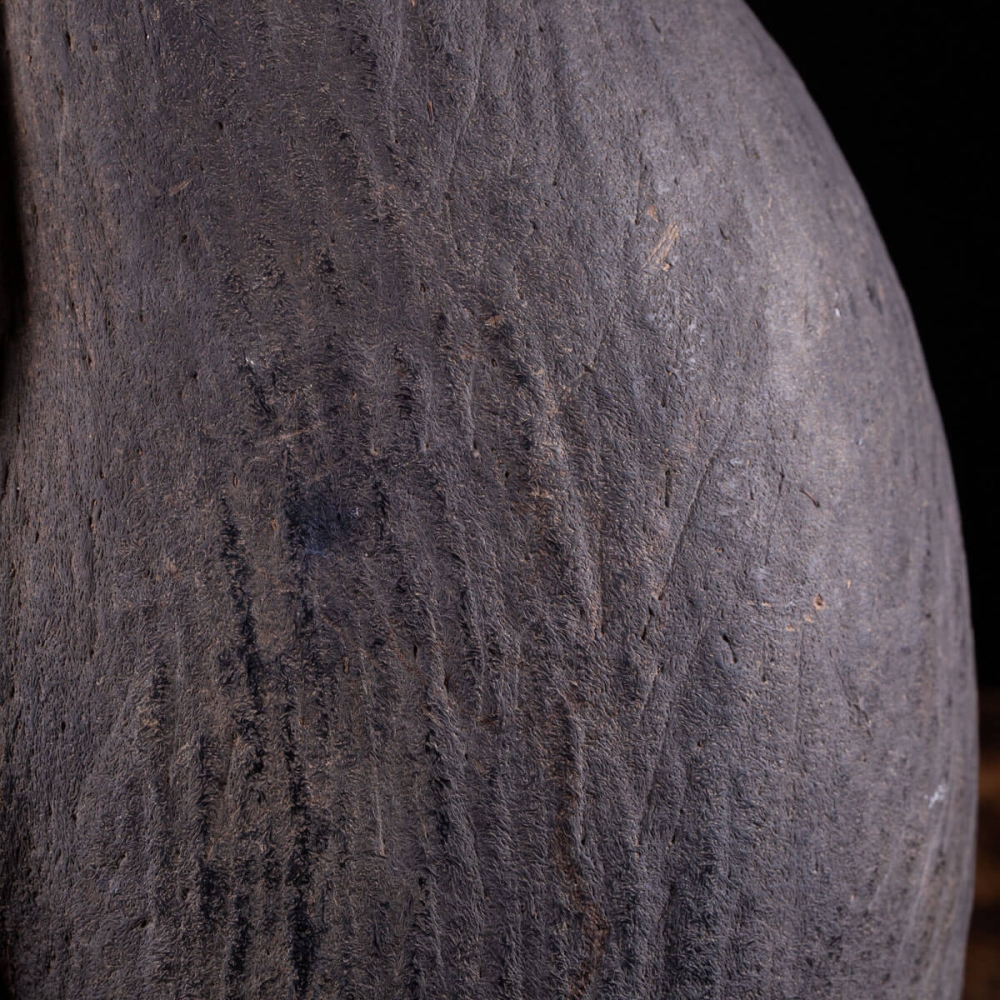 Coco de Mer - Cabinet de Curiosite - COC-15