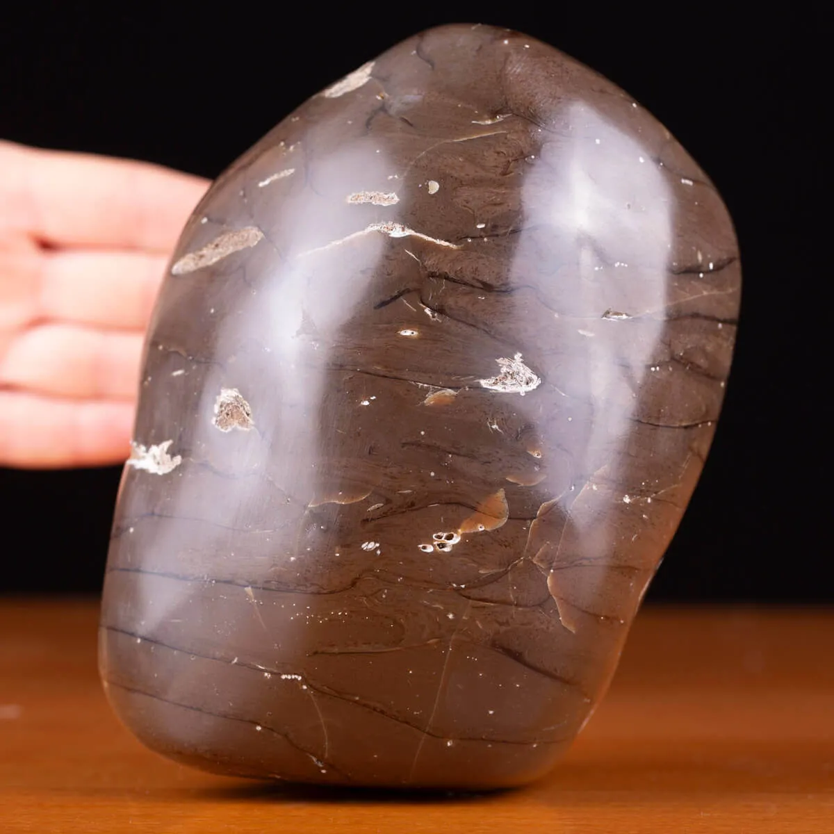 The Geological Heritage of Sumatra: Blue Amber - ABS-20