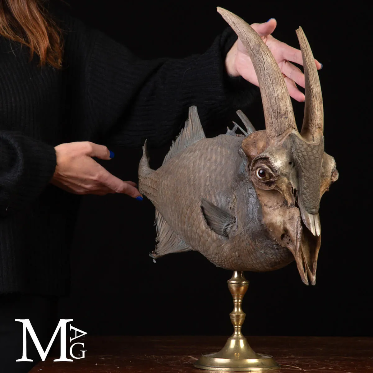 Taxidermy Chimera - Imaginary Animal - CHI-04