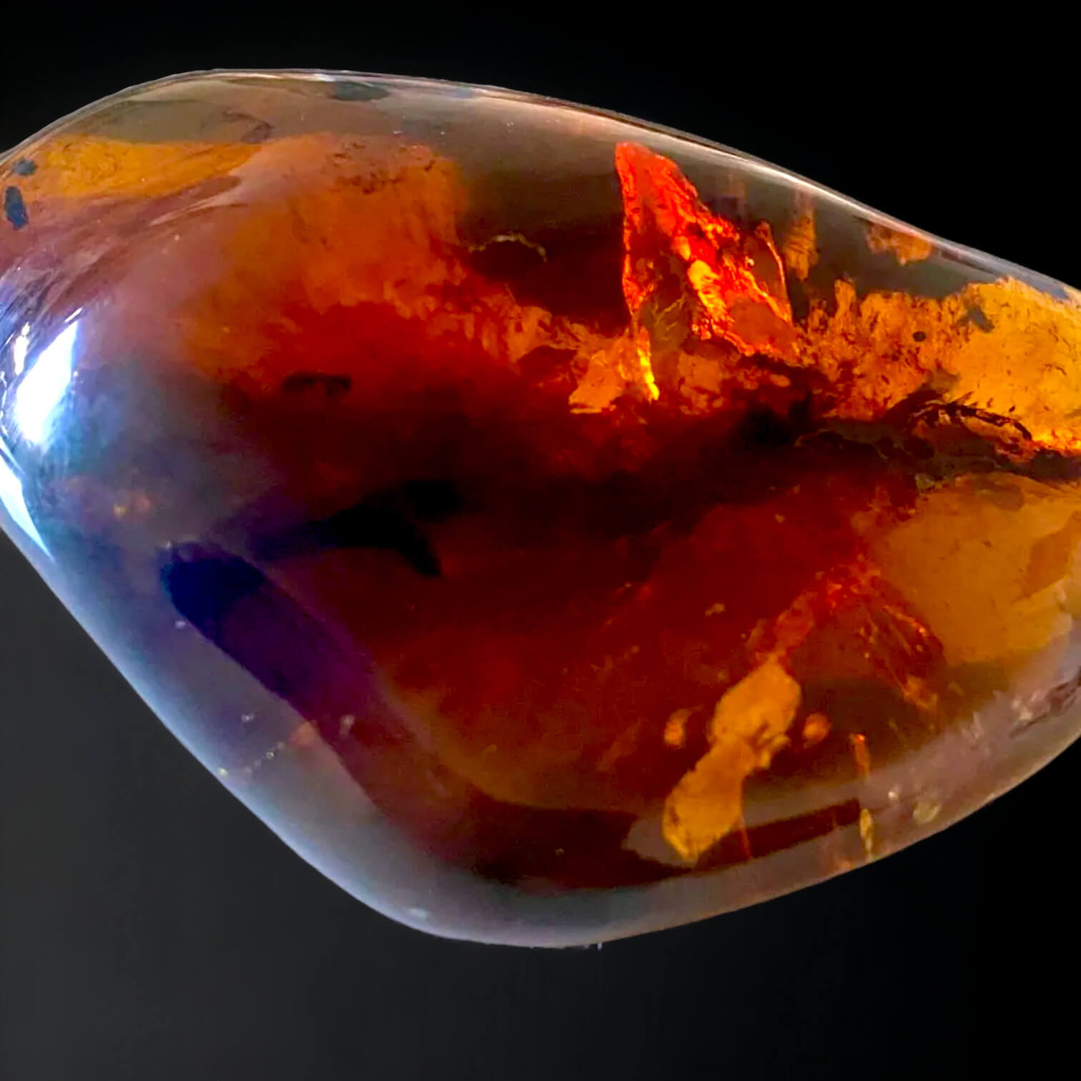 Ambre du Chiapas - AMB-08