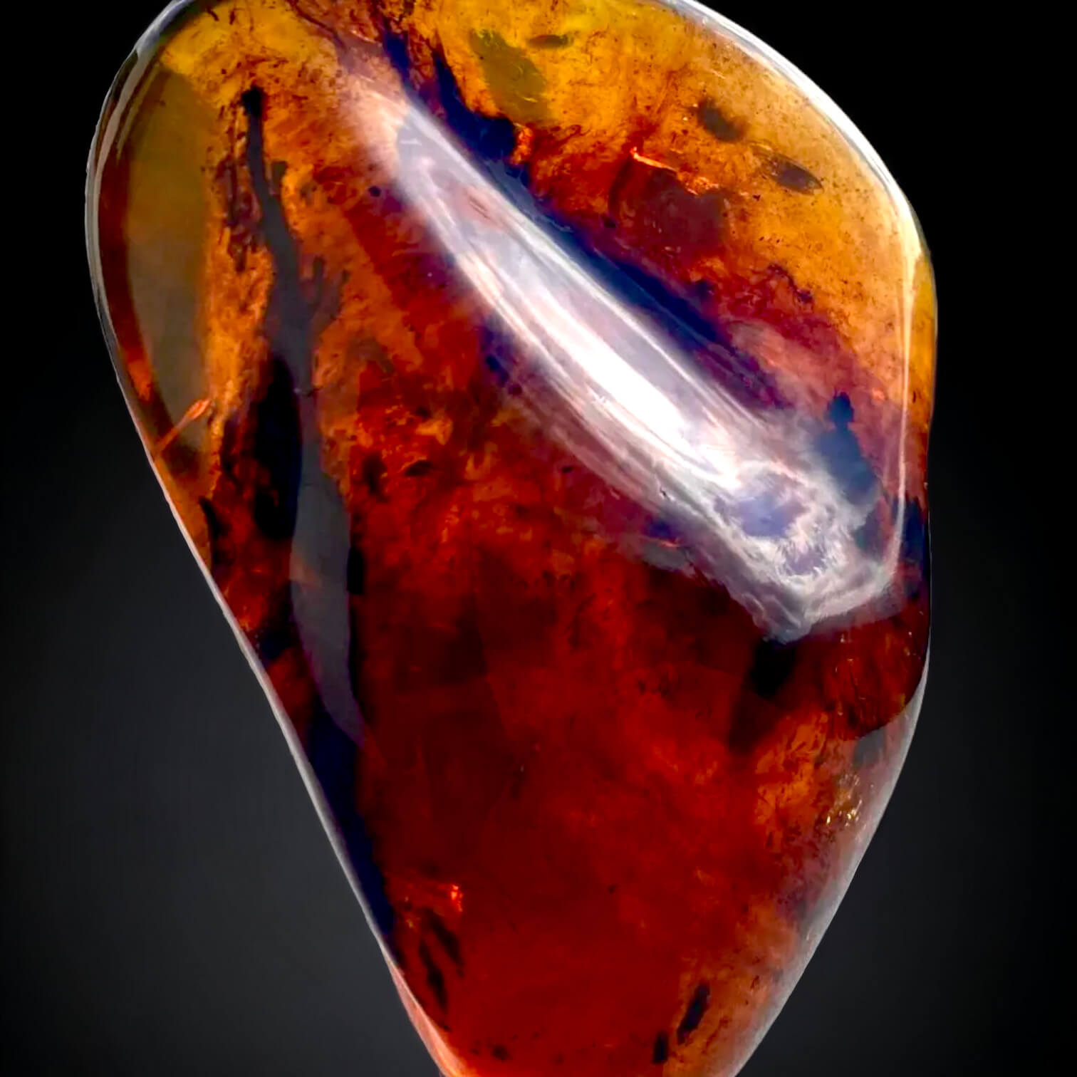 Ambre du Chiapas - AMB-08