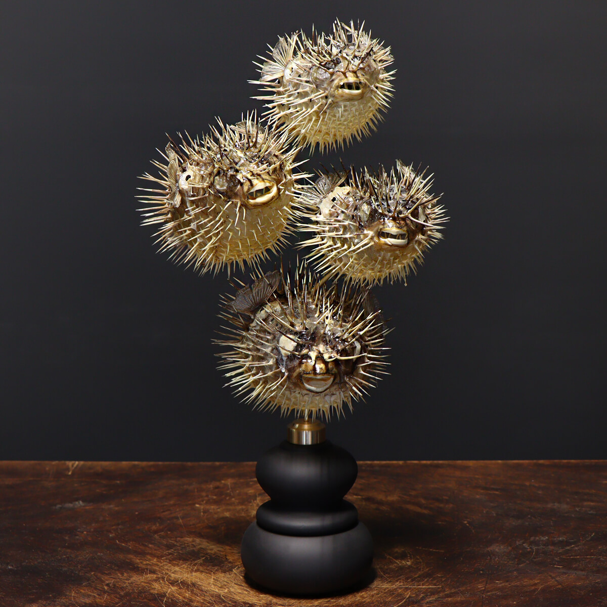 Pesce Palla su piedistallo|Mineral Art Gallery