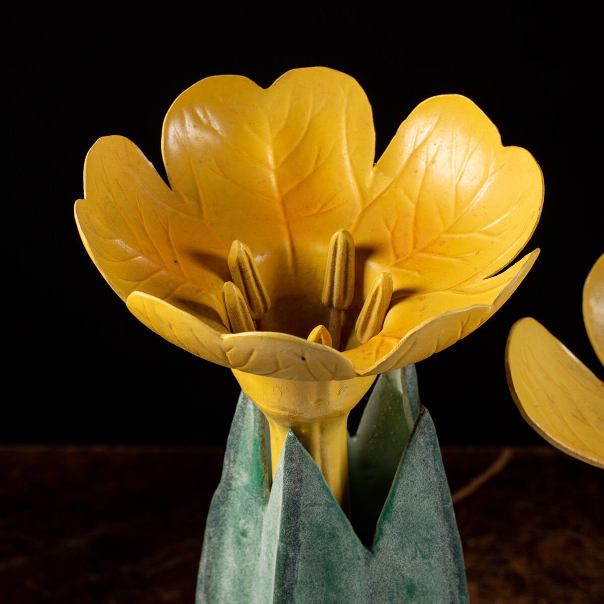 Antico Modello Anatomico Fiore
