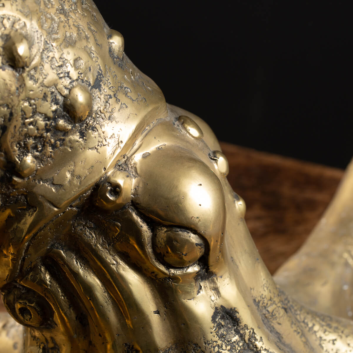 Scultura Bronzo Polpo