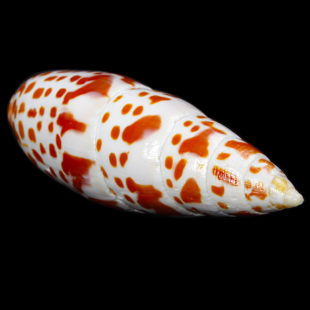 Mitra Mitra Extra - Filippine