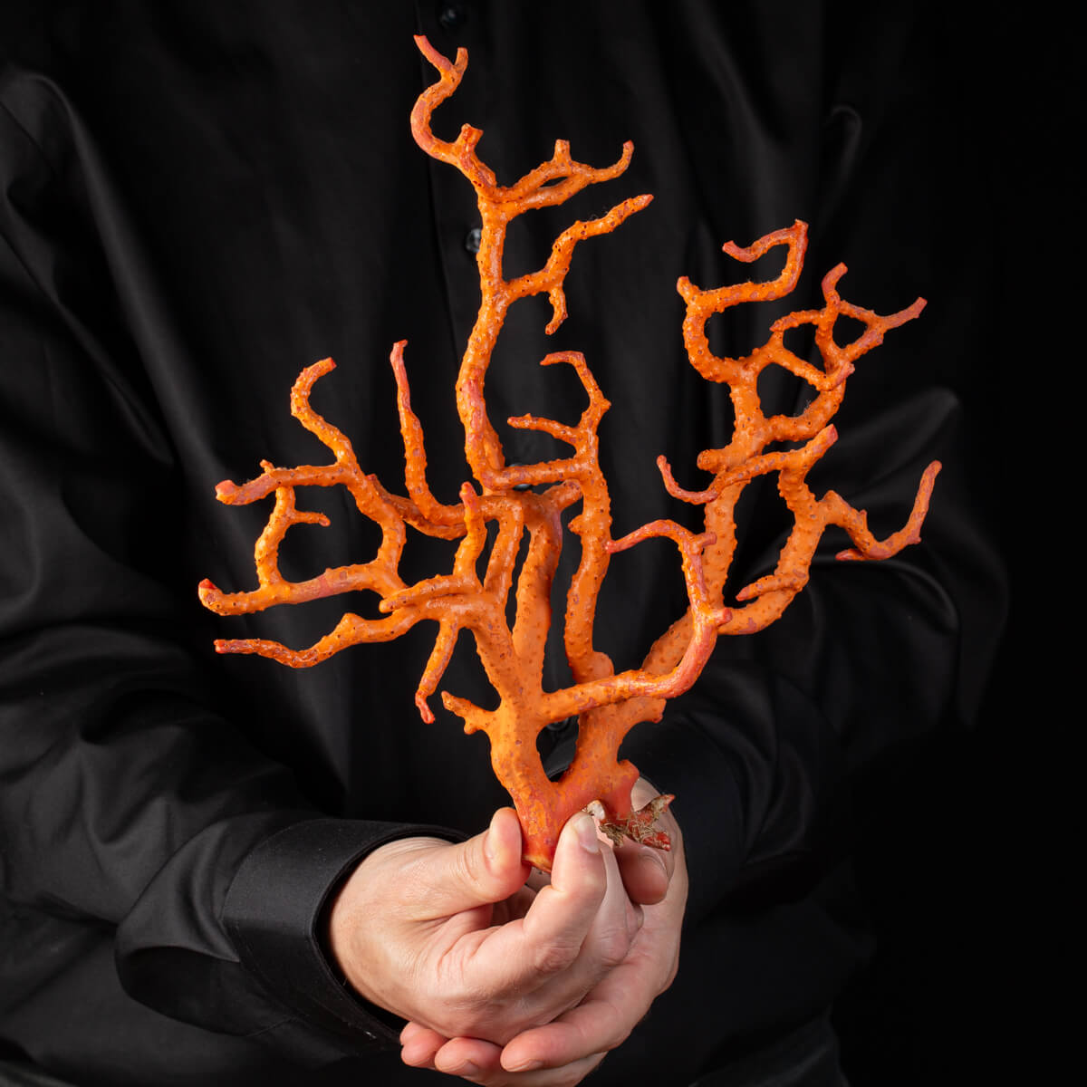 Corallo Rosso - Alghero, Sardegna