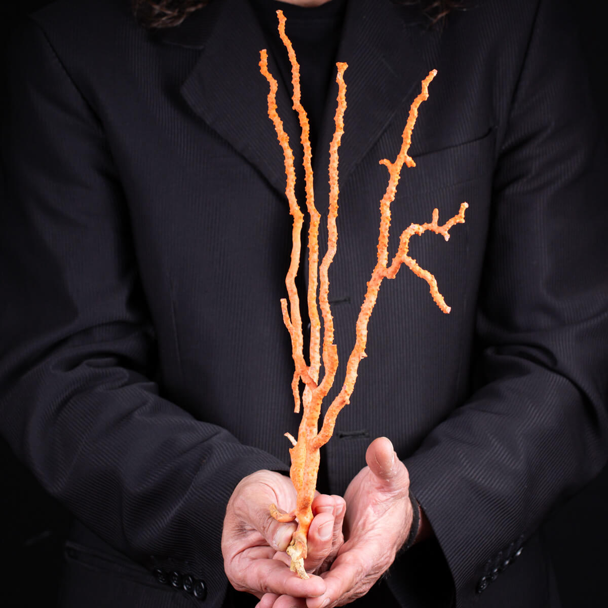 Corail Rouge de Sardaigne : Trésor des Profondeurs Marines. - CRS-12