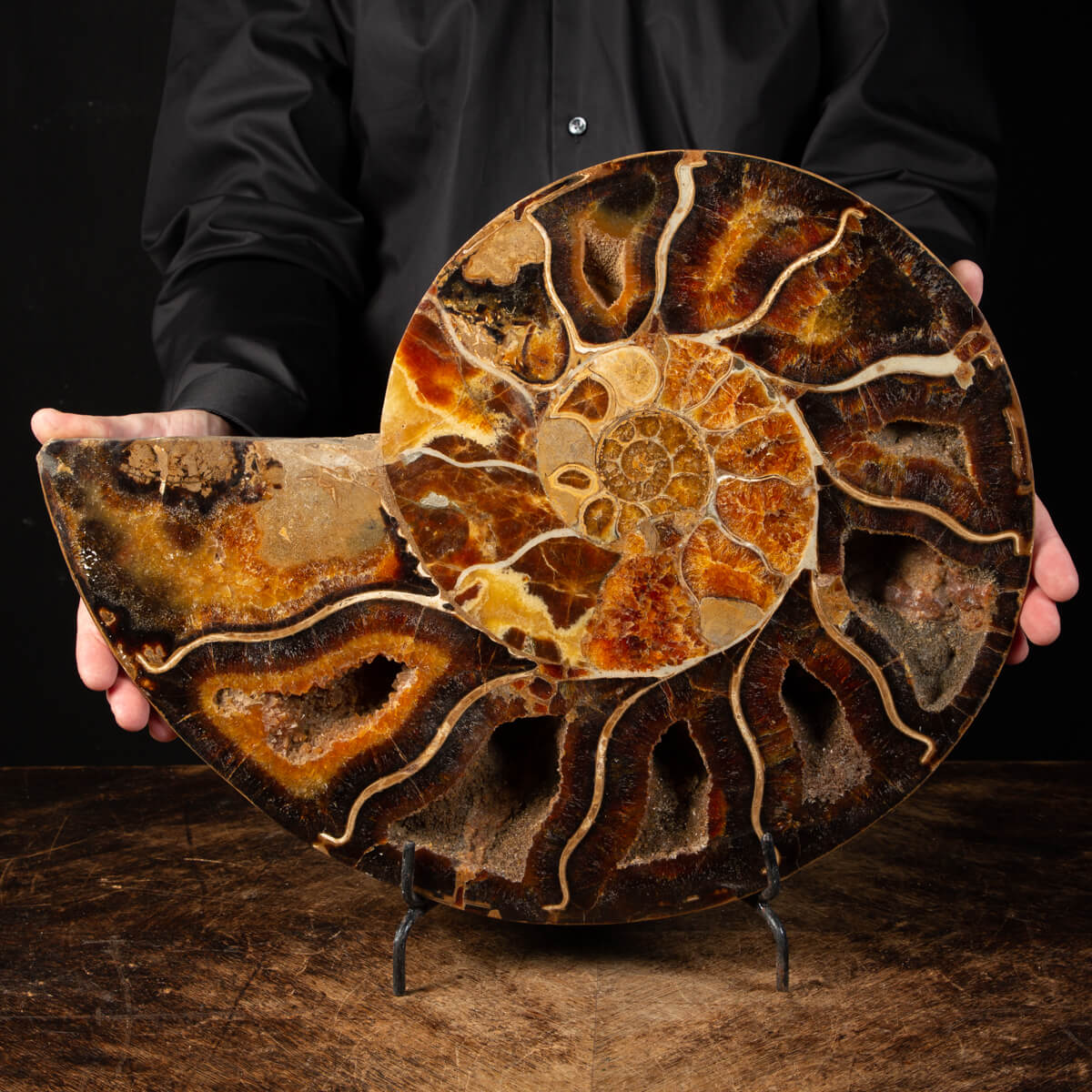 Ammonite - Madagascar