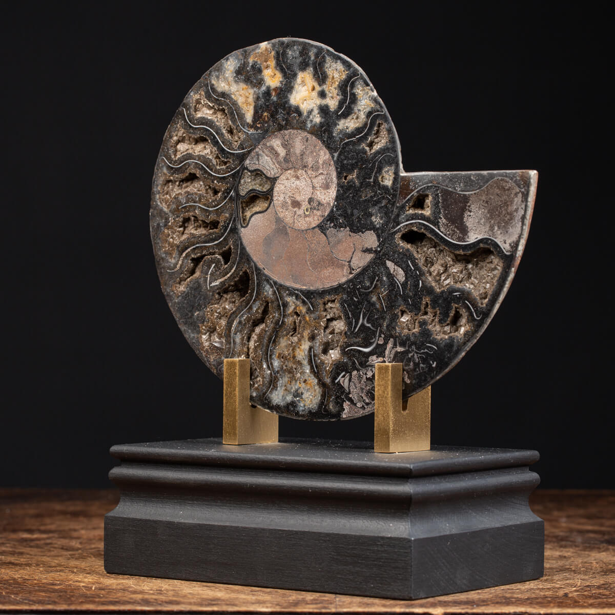 Ammonite Nera - Madagascar